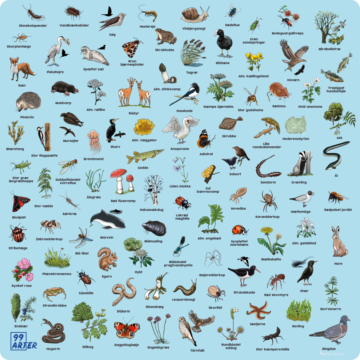 99 arter - Læringstavler - Eduplay