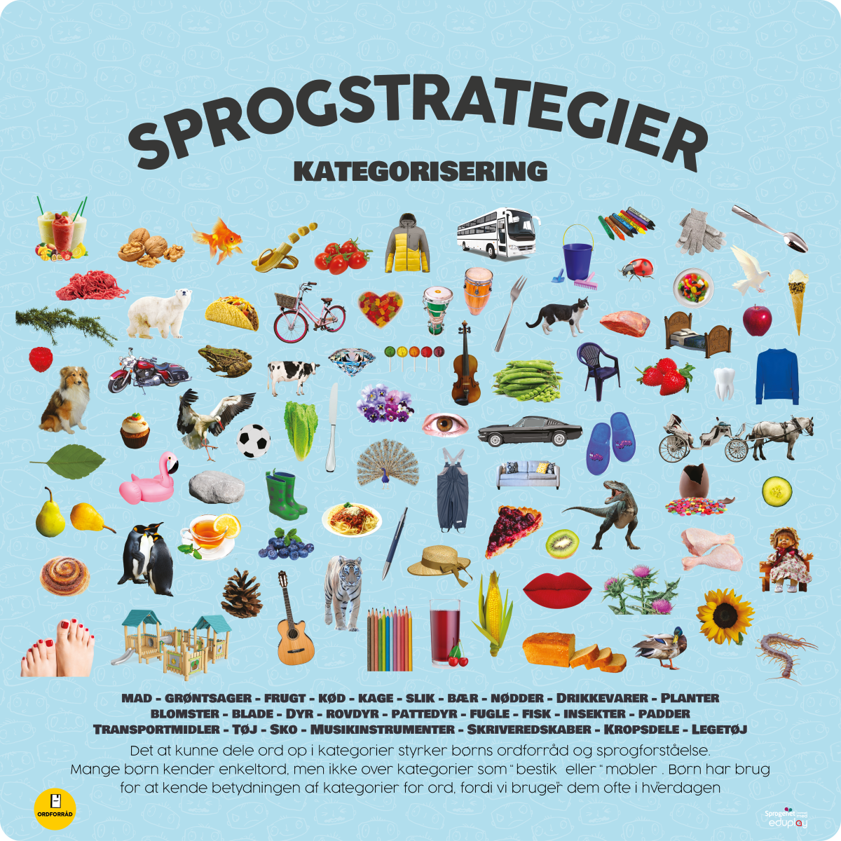 Ordforråd - Kategorisering - Sproglig udvikling - Eduplay