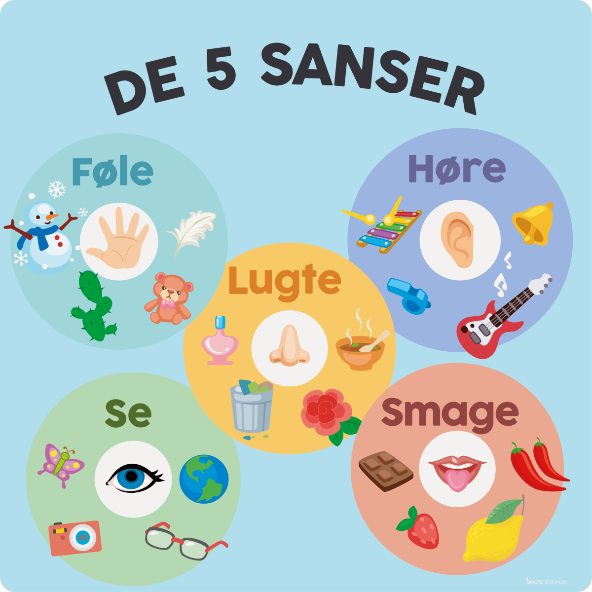 5 sanser - Læringstavler - Eduplay