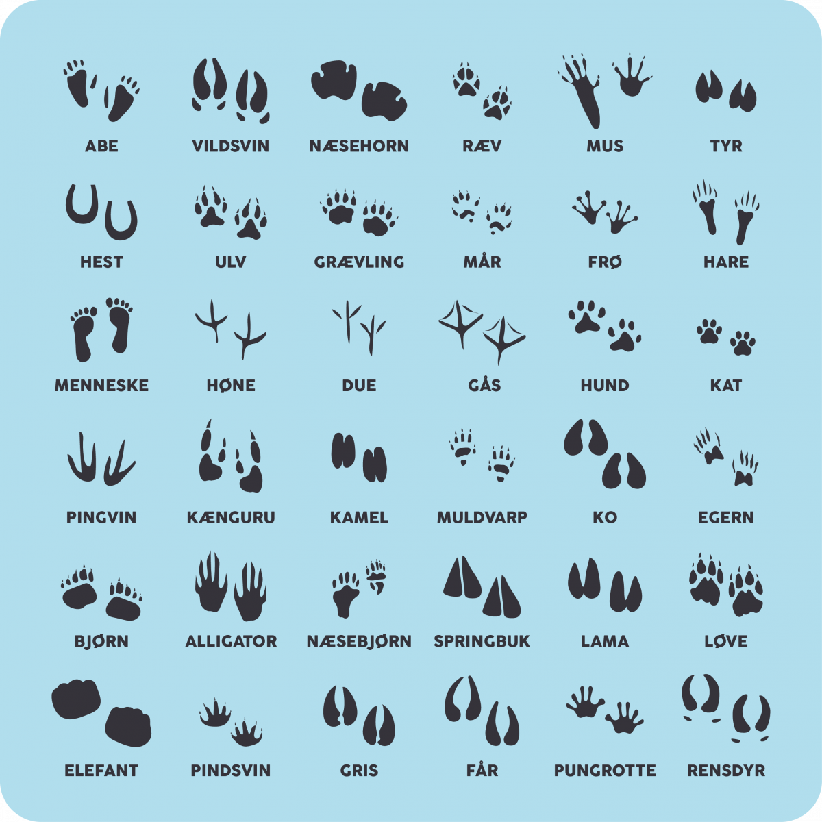 Fodspor - Læringstavler - Eduplay