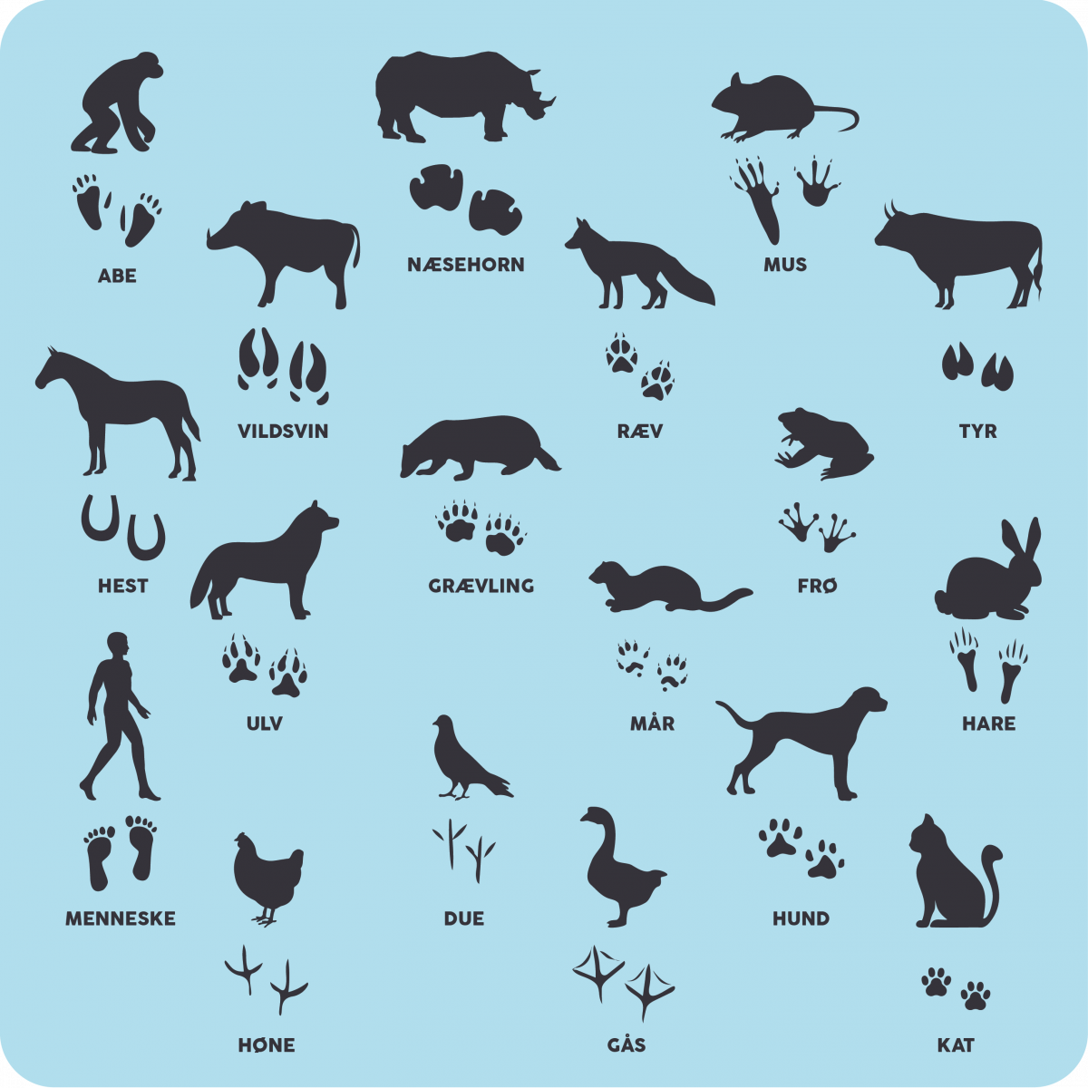 Fodspor med dyr 1 - Læringstavler - Eduplay