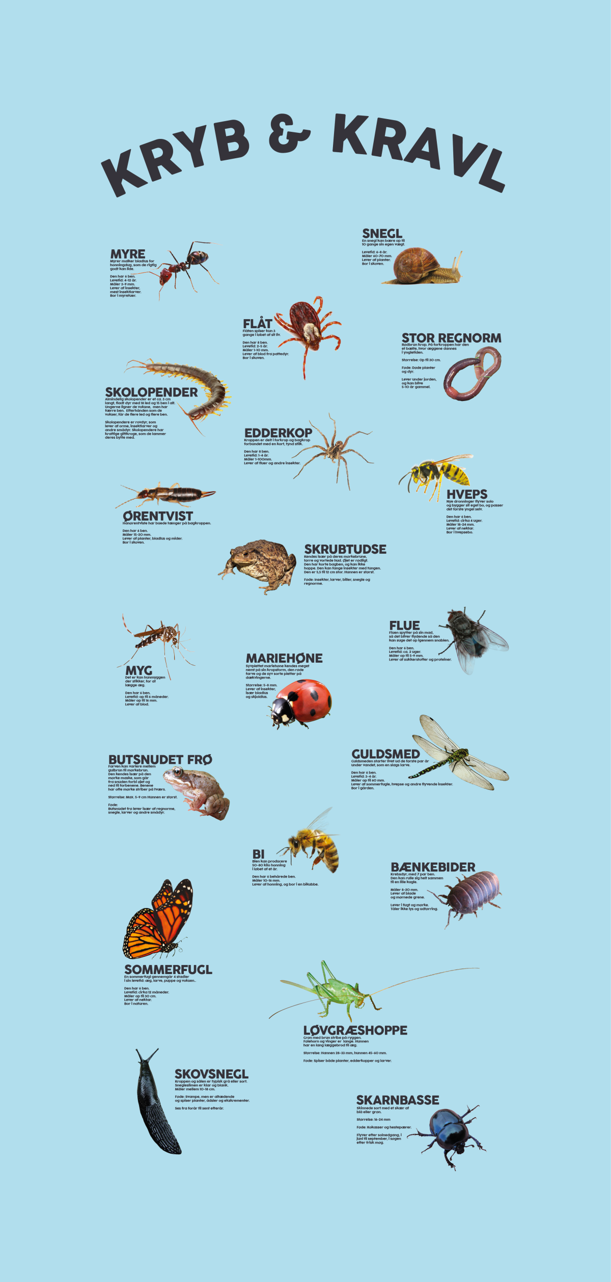 Kryb og kravl - Folieløsninger på døre - Eduplay