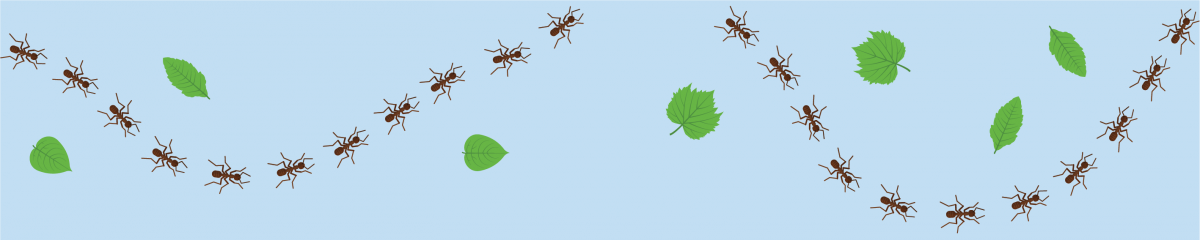 Myrer - vinduesfolie - Folieløsninger på vinduer - Eduplay